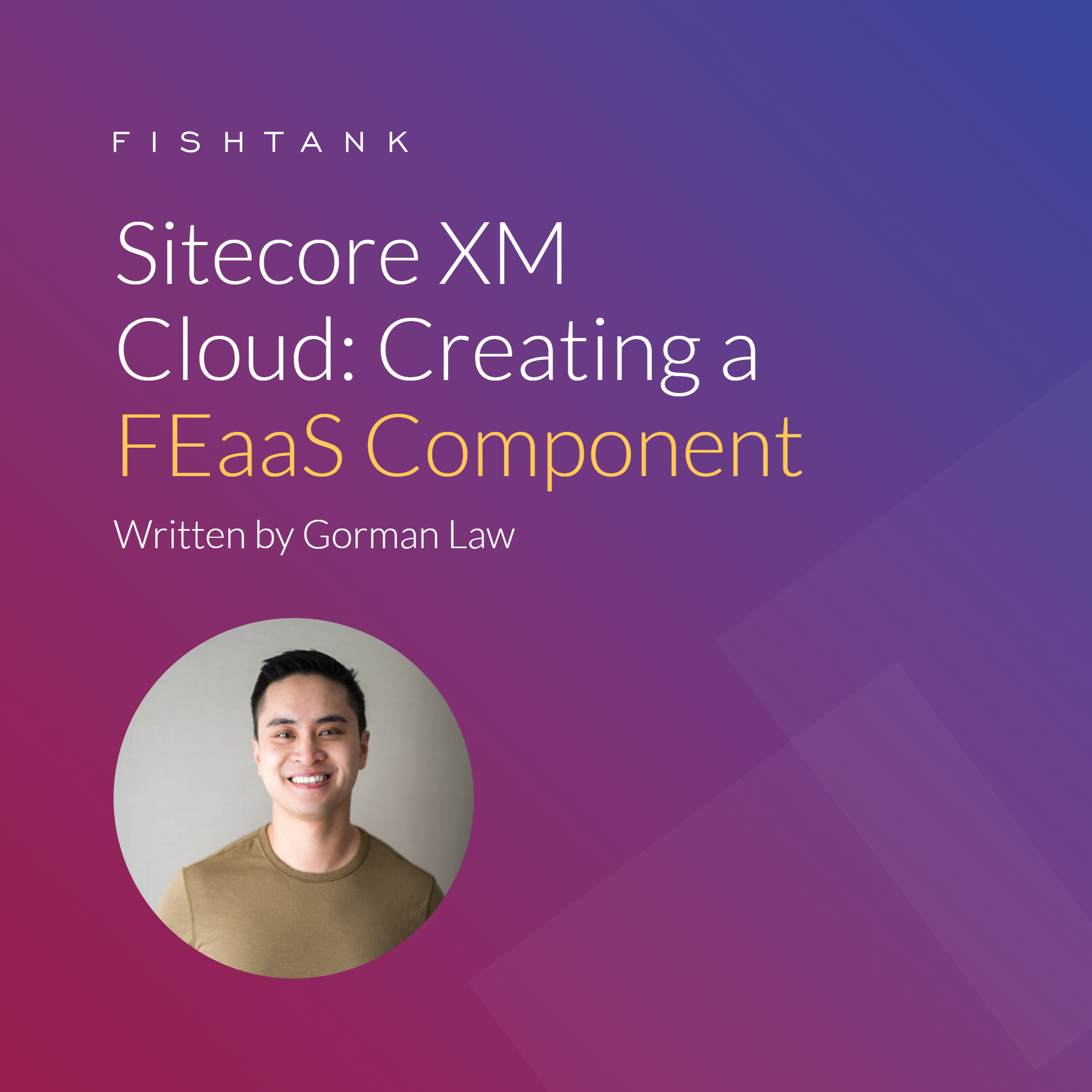 Step-by-Step FEaaS Component Creation in Sitecore XM Cloud | Fishtank